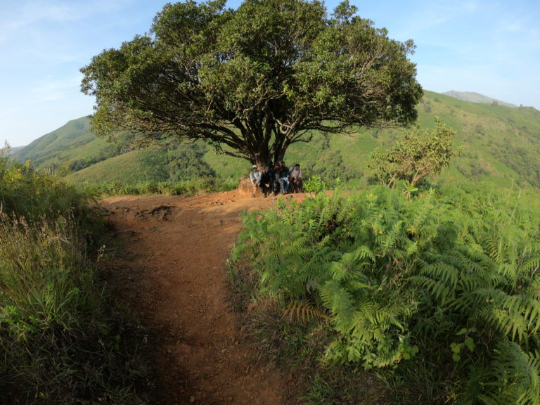 Kudremukh Trek Guide: Everything You Need To Know