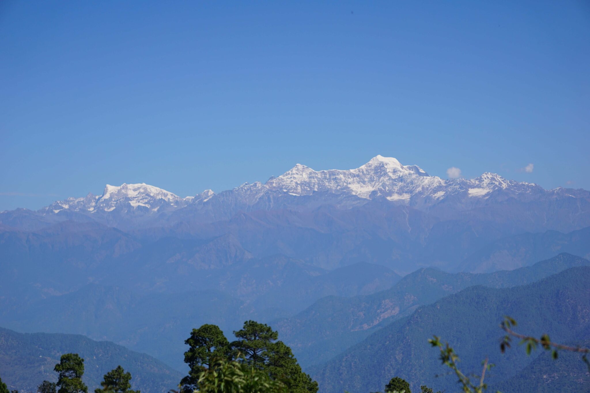 Gaumukh Tapovan: My Trek Rescue Story - Stories of Raku